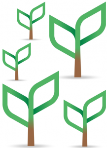 Plant 5 Trees | Co-Treetment