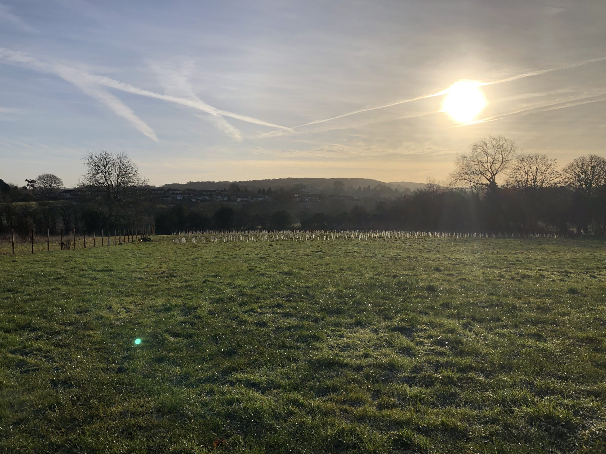 Planting Session | 4th and 5th February 2023 | Co-Treetment